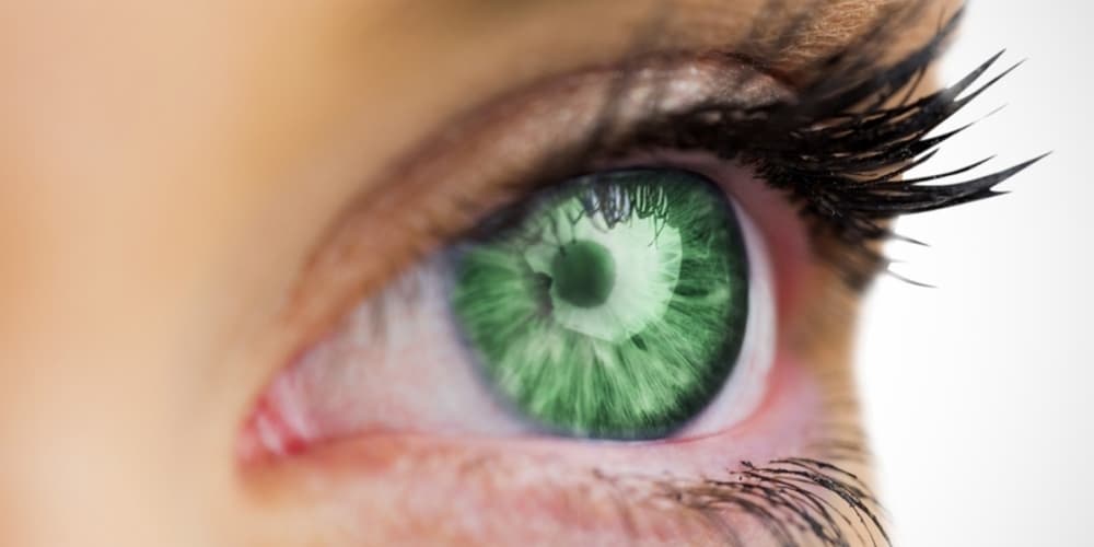 Crean un ojo artificial capaz de imitar la resolución de la visión ...